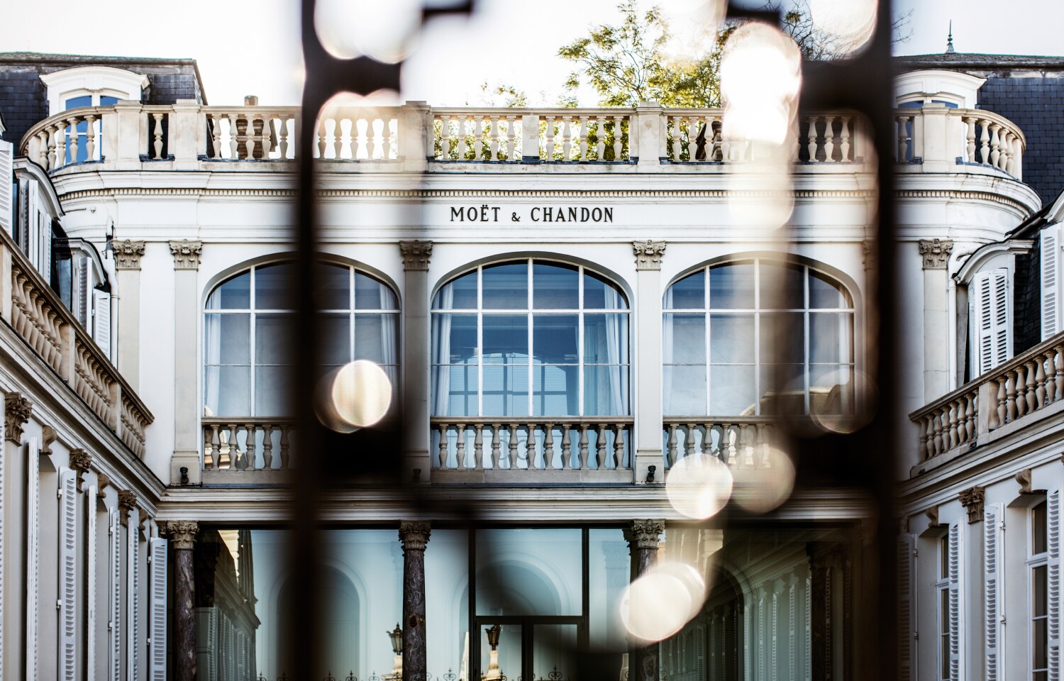 Discover our Champagnes | Moët & Chandon